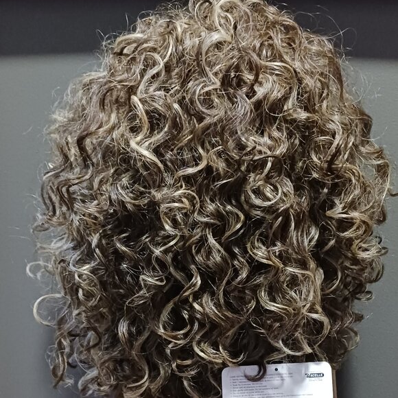 Gabor | Hair | Nwt Motivation Wig By Gabor Essentials Brown Blonde ...